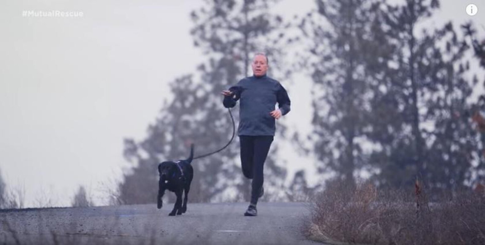 This Man And His Dog Literally Saved Each Other's Lives - The Dodo