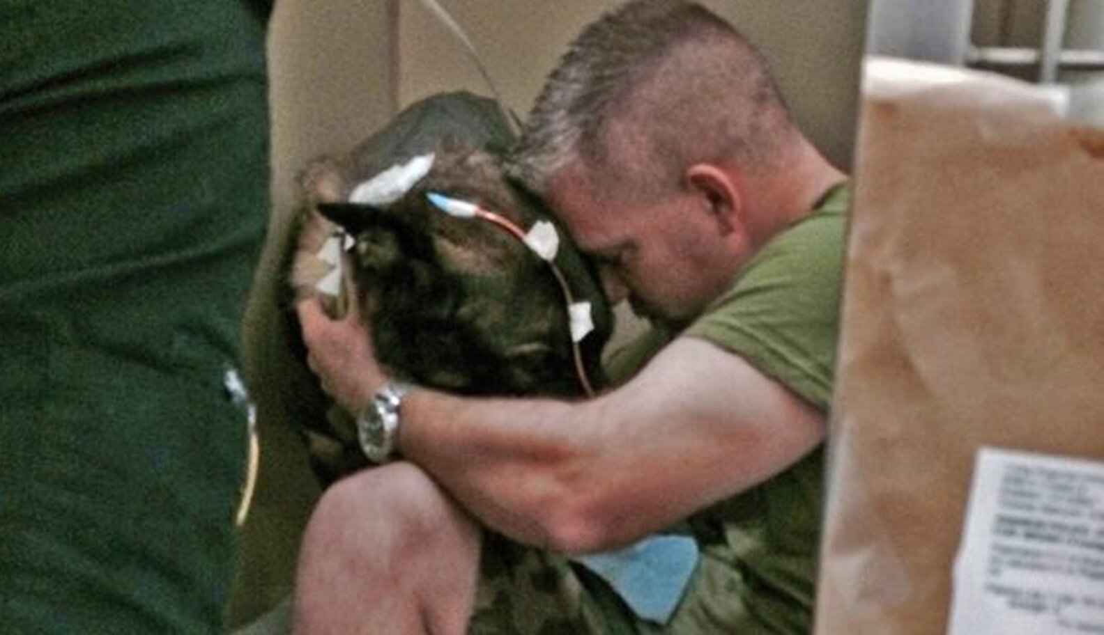 Cop Adopts Police Dog Who Was Shot In The Line Of Duty - The Dodo