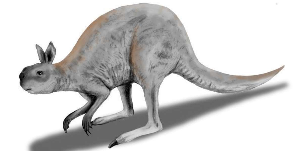 Giant One-Toed, Rabbit-Faced, Sloth-Like 'Roos Once Roamed Earth - The Dodo