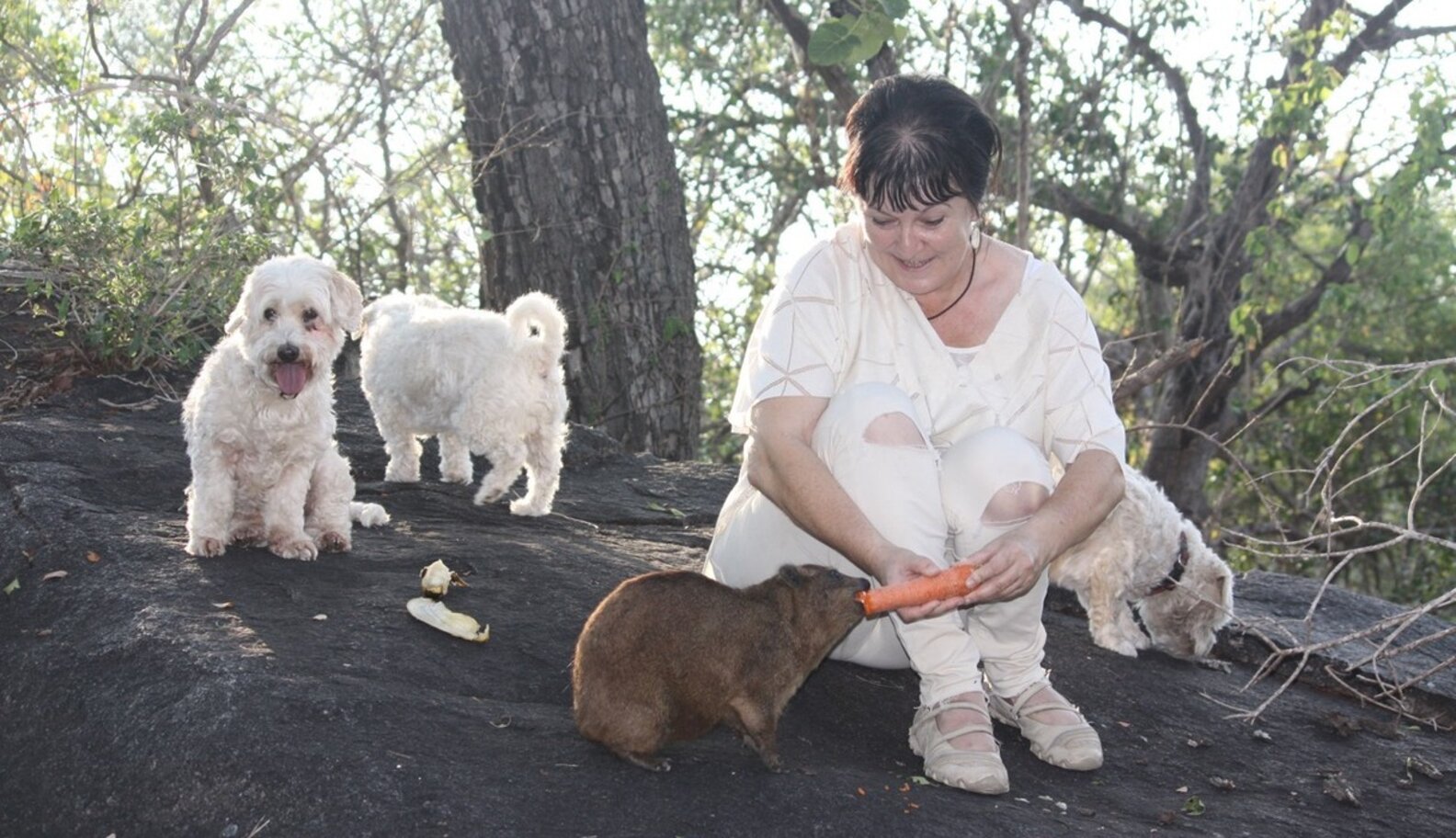 One Of The World's 'Meanest' Animals Can't Get Enough Of His Rescuers ...