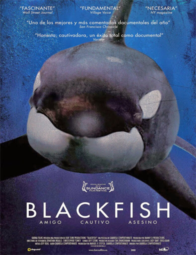 #Blackfish awesome documentary about the story behind the dead of a ...