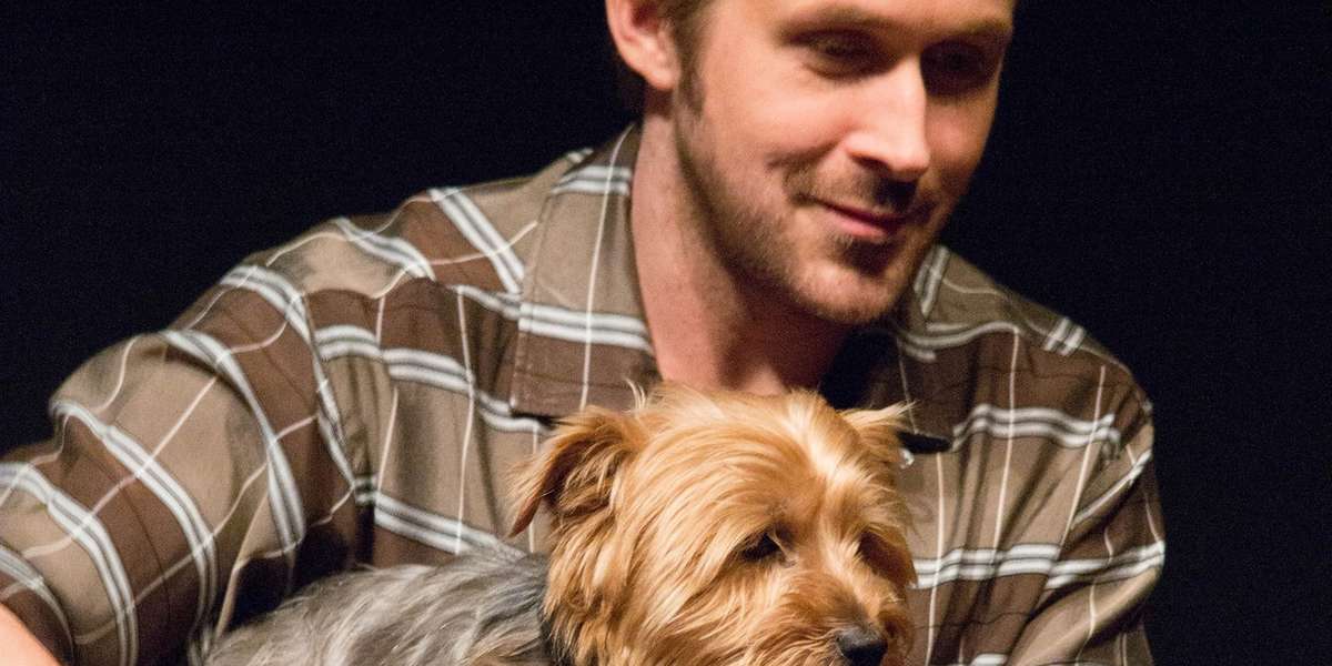 Ryan Gosling Slams 'Abhorrent' Cruelty At Costco Supplier - The Dodo