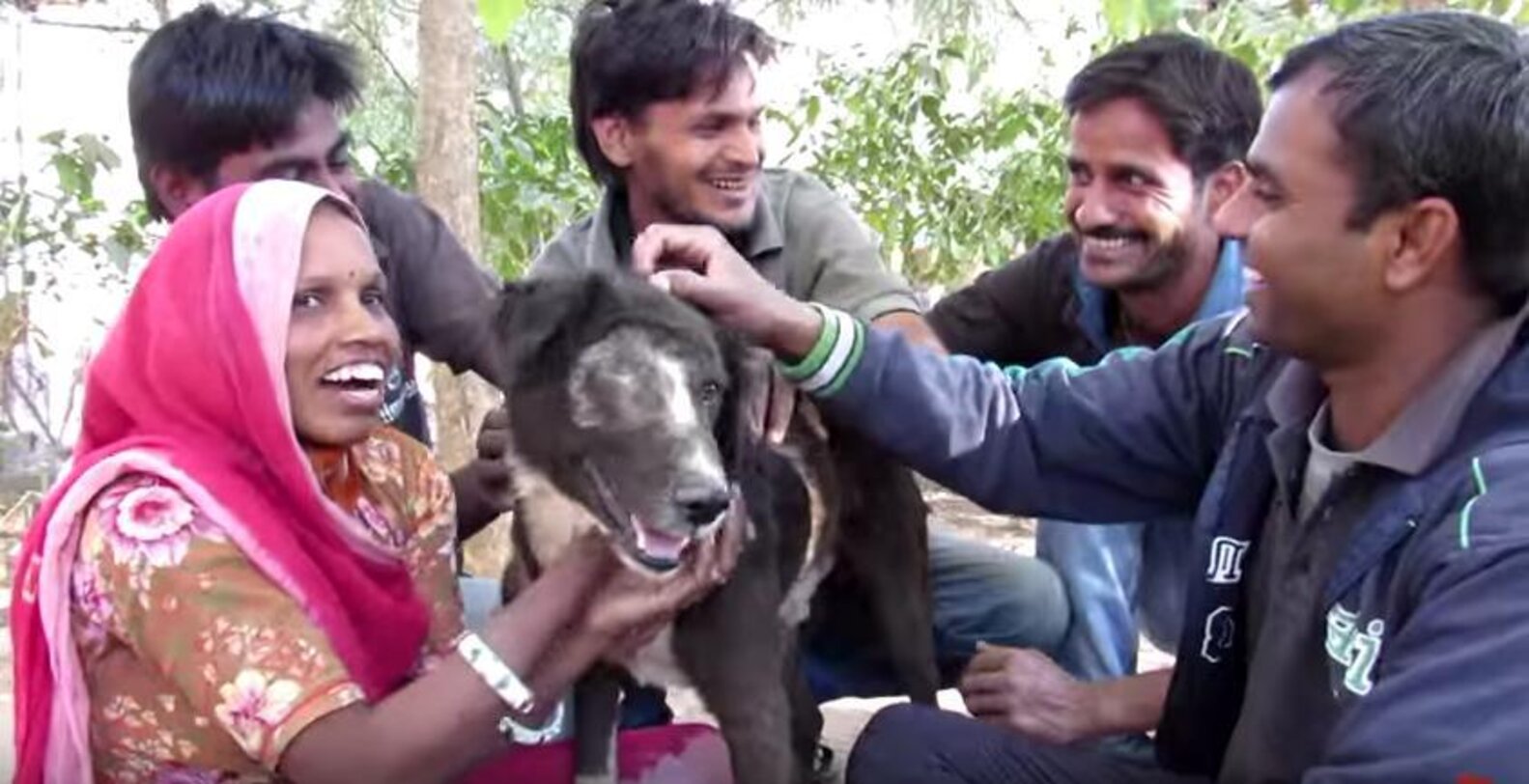 Dog Who Was Missing Most Of His Face Makes A Complete Recovery - The Dodo