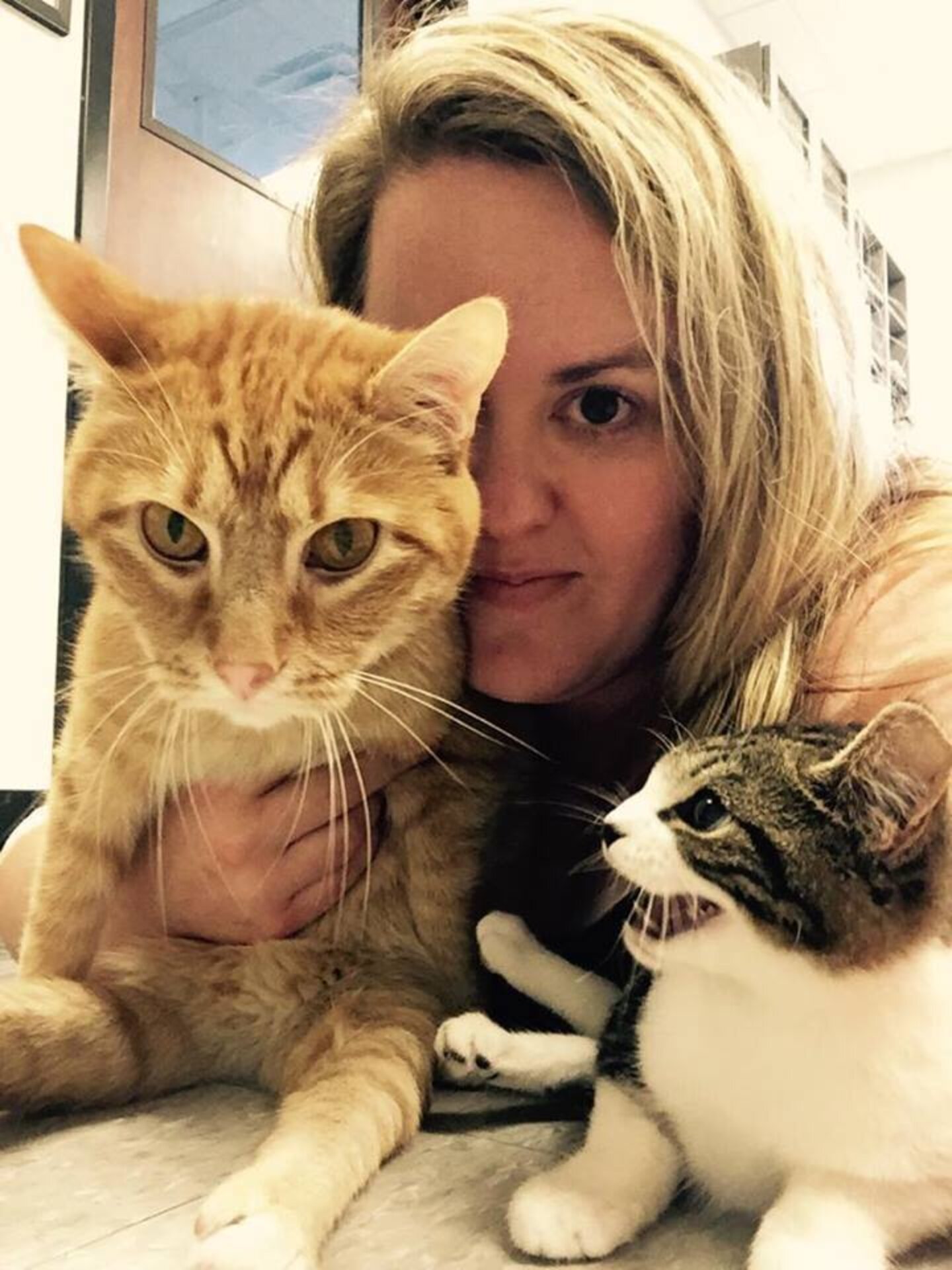 Paralyzed Cats Become Best Friends - The Dodo