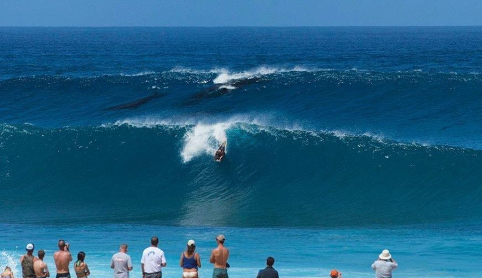 Humpback Whales Spotted Surfing In Hawaii - The Dodo