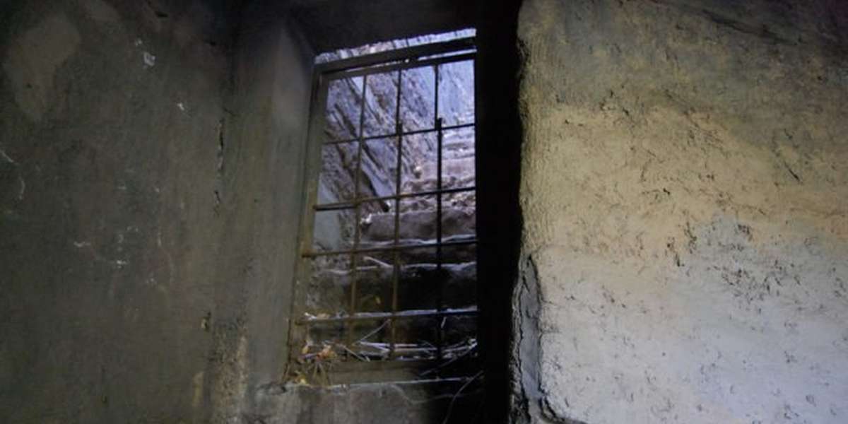 Haunting Photos Show How Zoo Looked Decades Ago - The Dodo