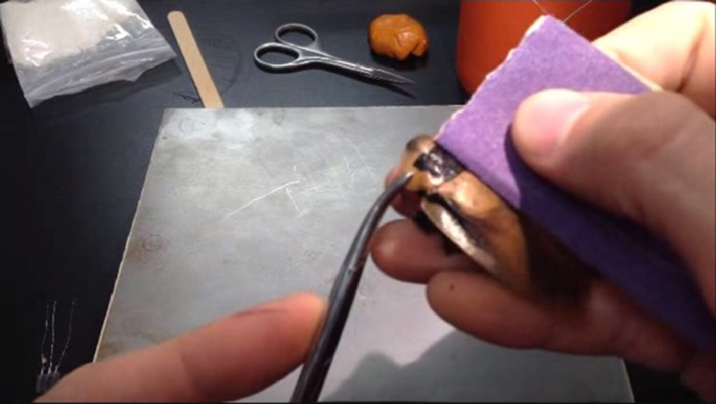 World’s Worst Toy Kit Lets You Turn A Cockroach Into A Robot - The Dodo