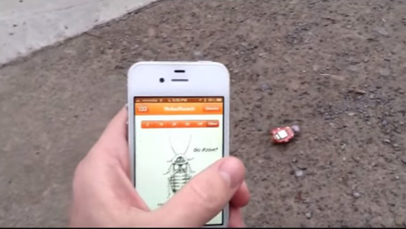 World’s Worst Toy Kit Lets You Turn A Cockroach Into A Robot - The Dodo