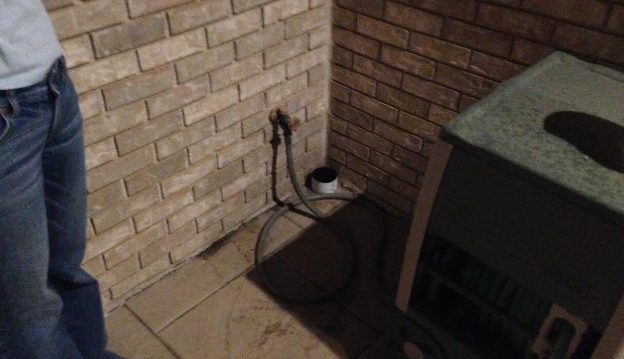 Scared Prairie Dog Found Just The Right Woman To Help Him - The Dodo