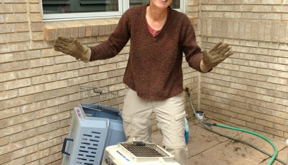 Scared Prairie Dog Found Just The Right Woman To Help Him - The Dodo