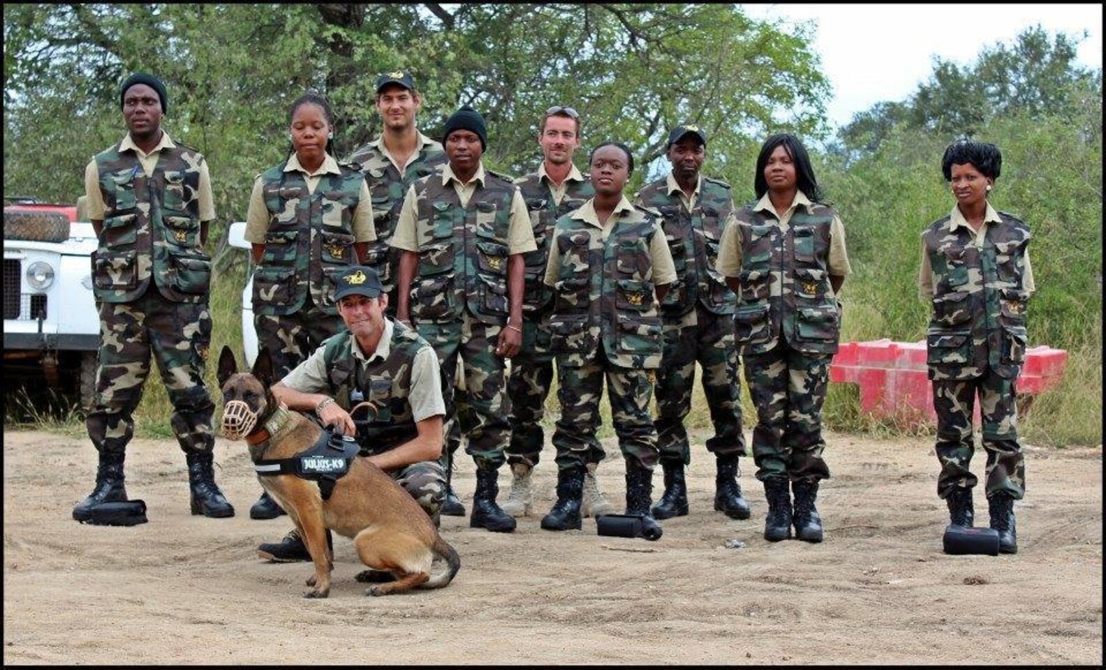 Dog Who Saves Elephants' Lives Loses A Leg But Refuses To Stop Working ...