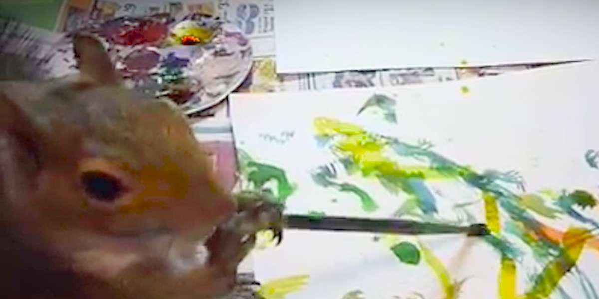 Squirrel Creates Paintings To Help Other Animals - The Dodo
