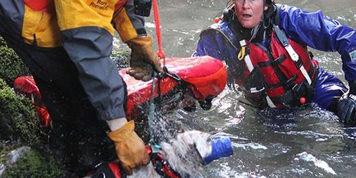 Stunning Rescue Photos Show Just What It Takes To Save A Trapped Dog ...