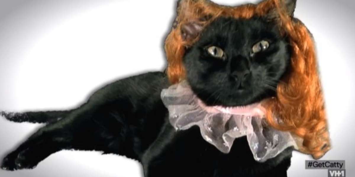 A Round-Up Of The Most Fantastic Animal April Fools Jokes - The Dodo