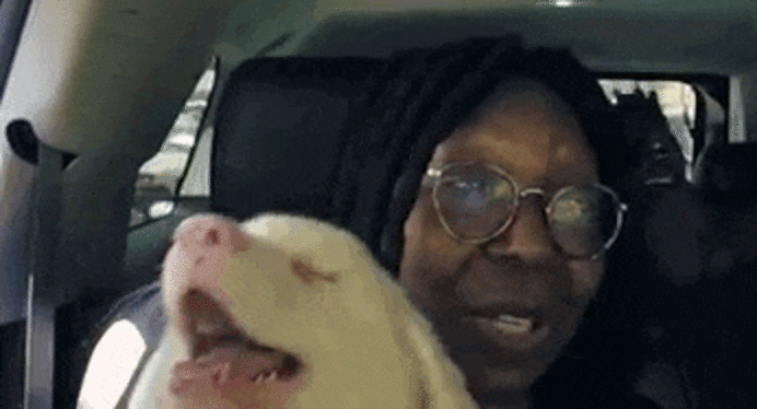 Whoopi's Blind, Deaf Dog Won't Walk ... So She Sings Him A Poem - The Dodo