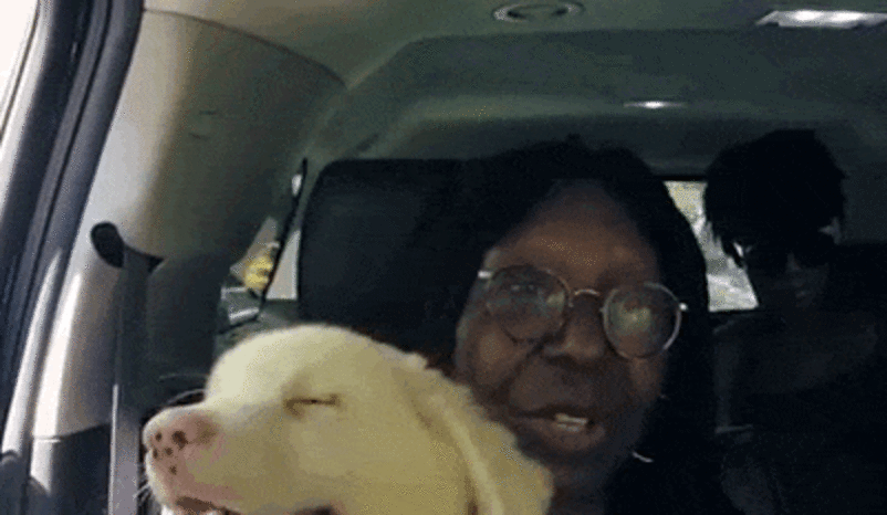 Whoopi's Blind, Deaf Dog Won't Walk ... So She Sings Him A Poem - The Dodo