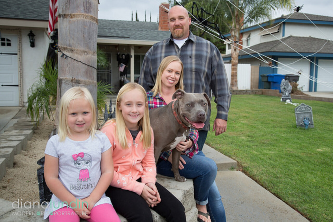 This Is What It Looks Like When A Dog Finally Gets A Home - The Dodo