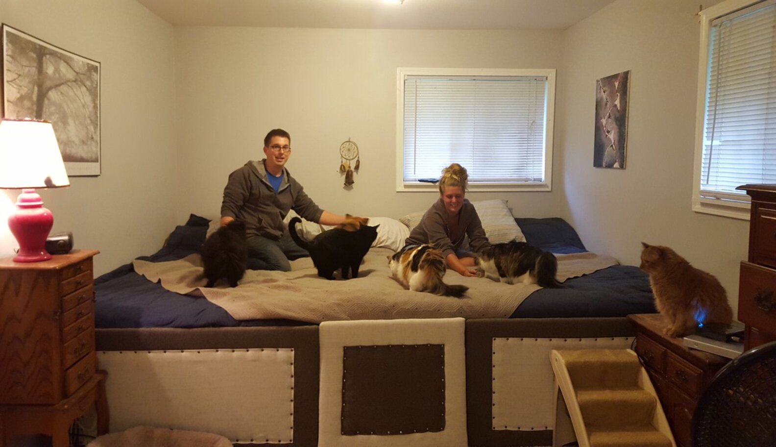 Couple Builds Giant Bed For The Best Possible Reason - The Dodo