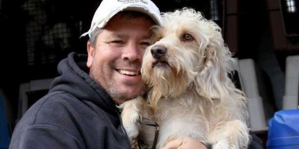 Man Has Driven More Than A Million Miles Connecting Shelter Dogs With ...