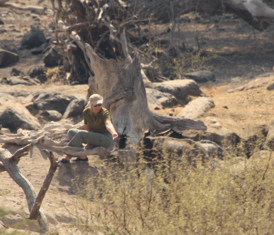 This Baby Elephant Is Fighting For His Life This Very Moment - The Dodo