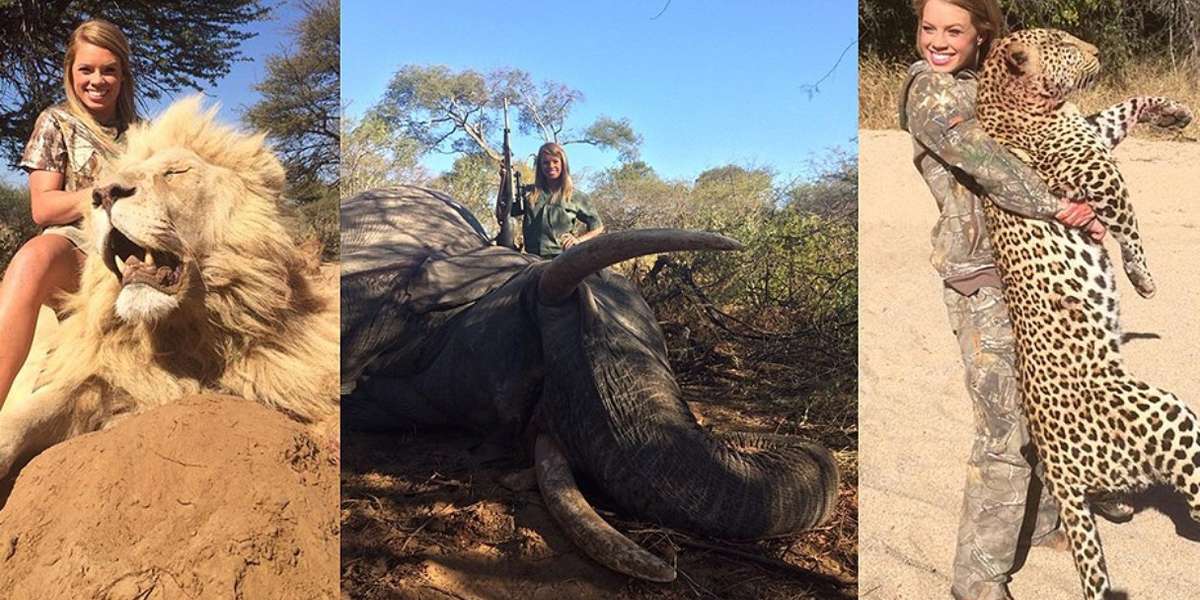 How Your Zoo Visit Supports Trophy Hunting - The Dodo