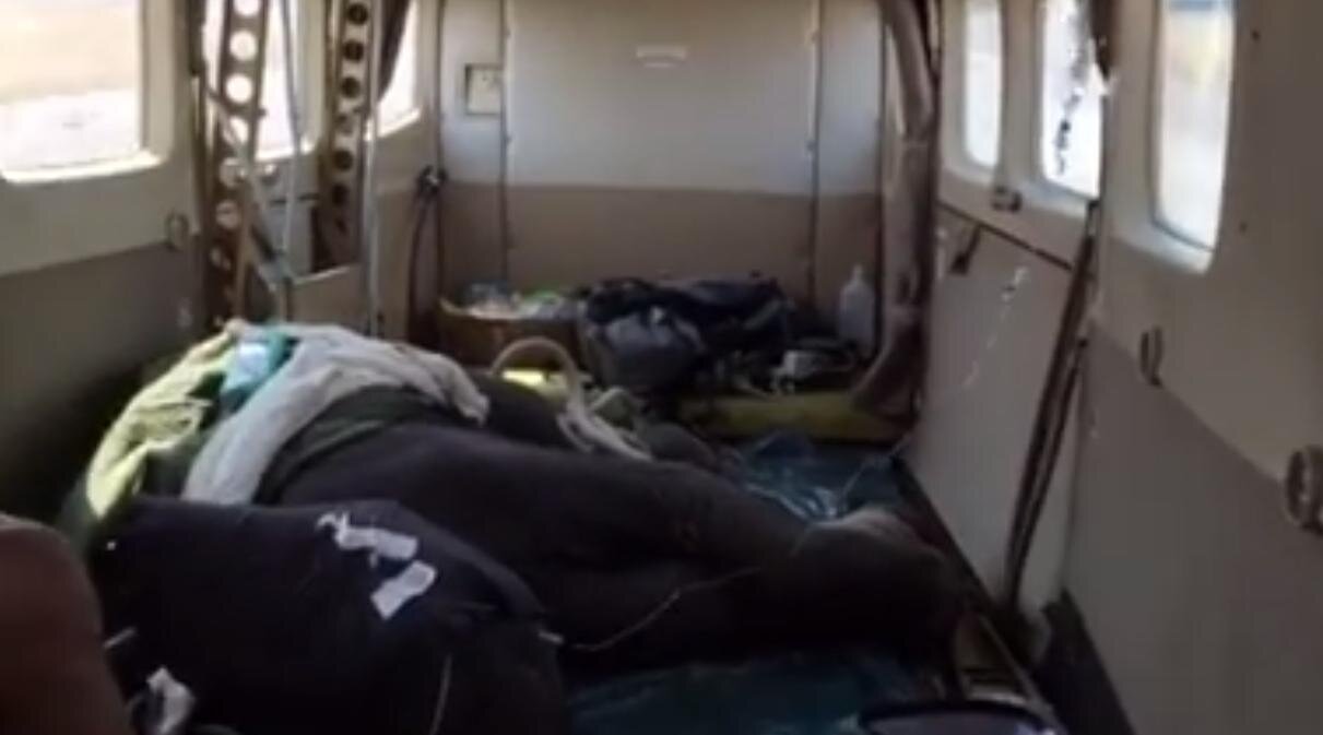 This Baby Elephant Is Fighting For His Life This Very Moment - The Dodo