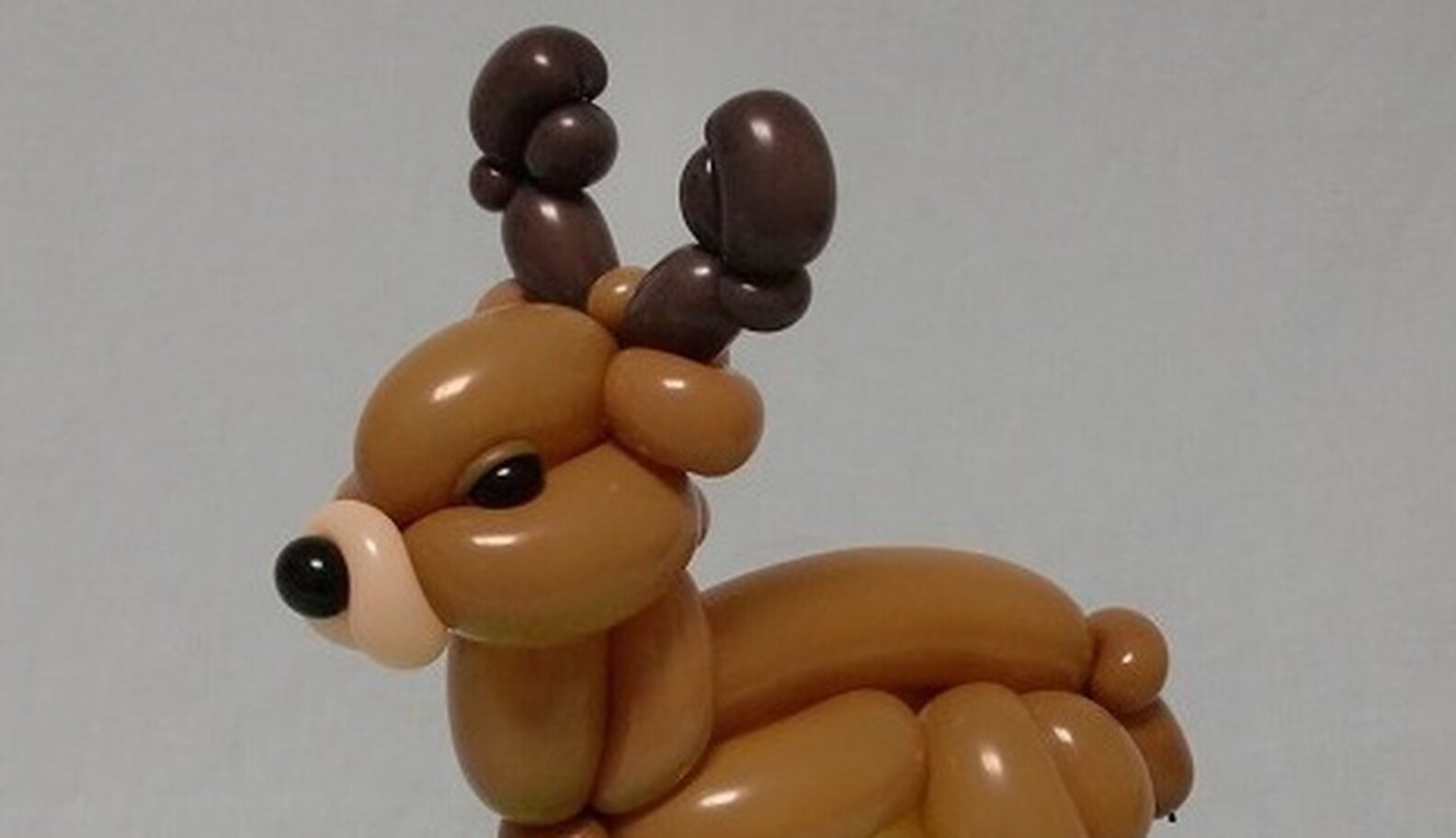 Balloon Animals Come To Life In The Most Unexpected Way - The Dodo