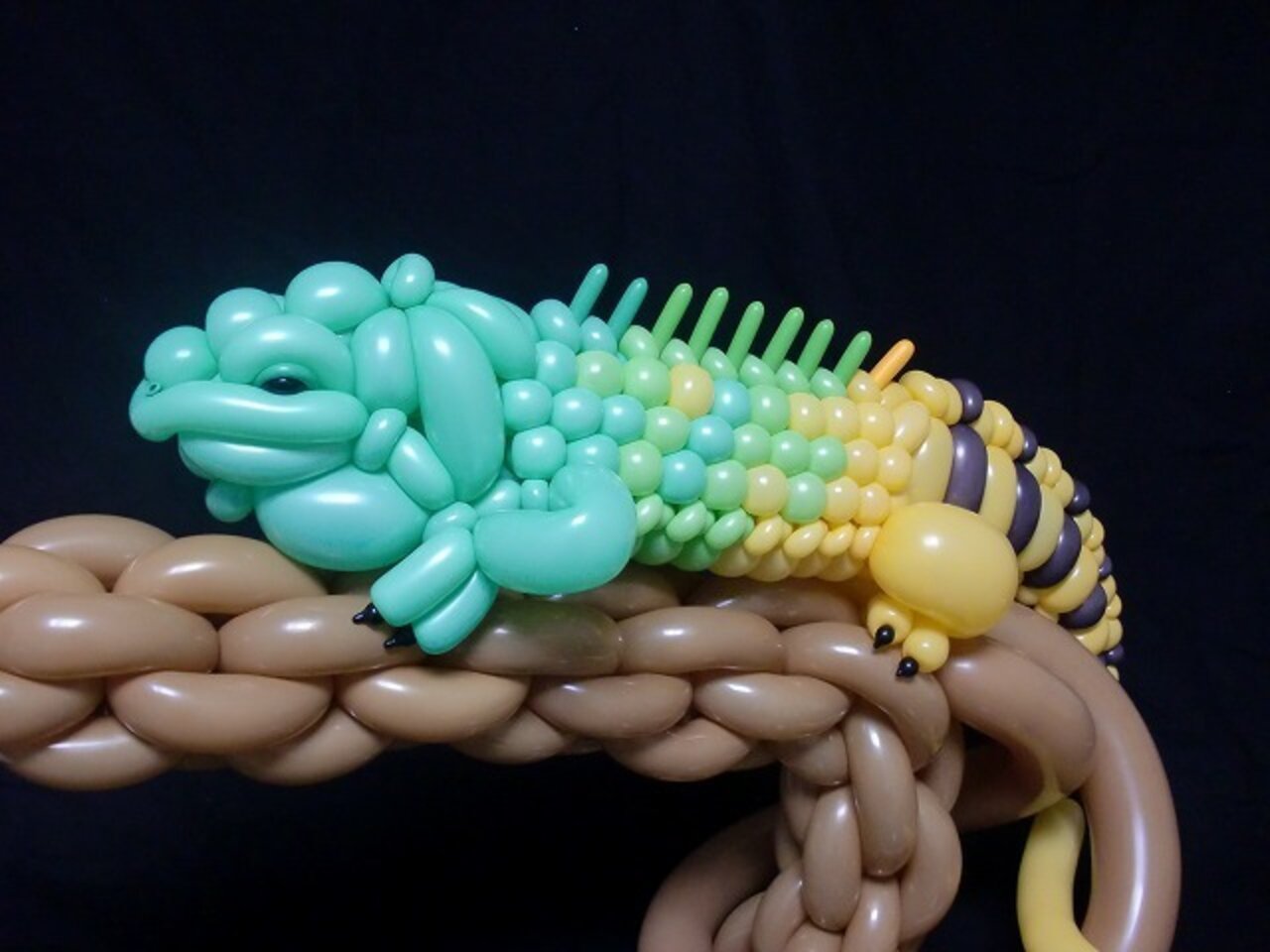 Balloon Animals Come To Life In The Most Unexpected Way - The Dodo