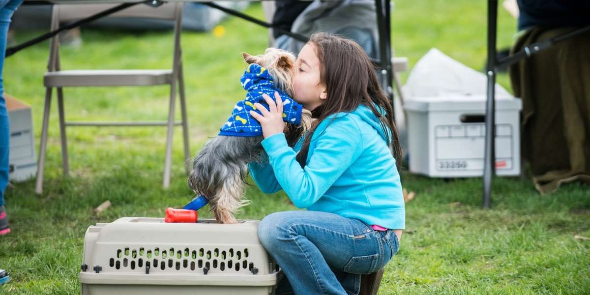 On Day of Giving, Let’s Boost our Pets for Life Program - The Dodo