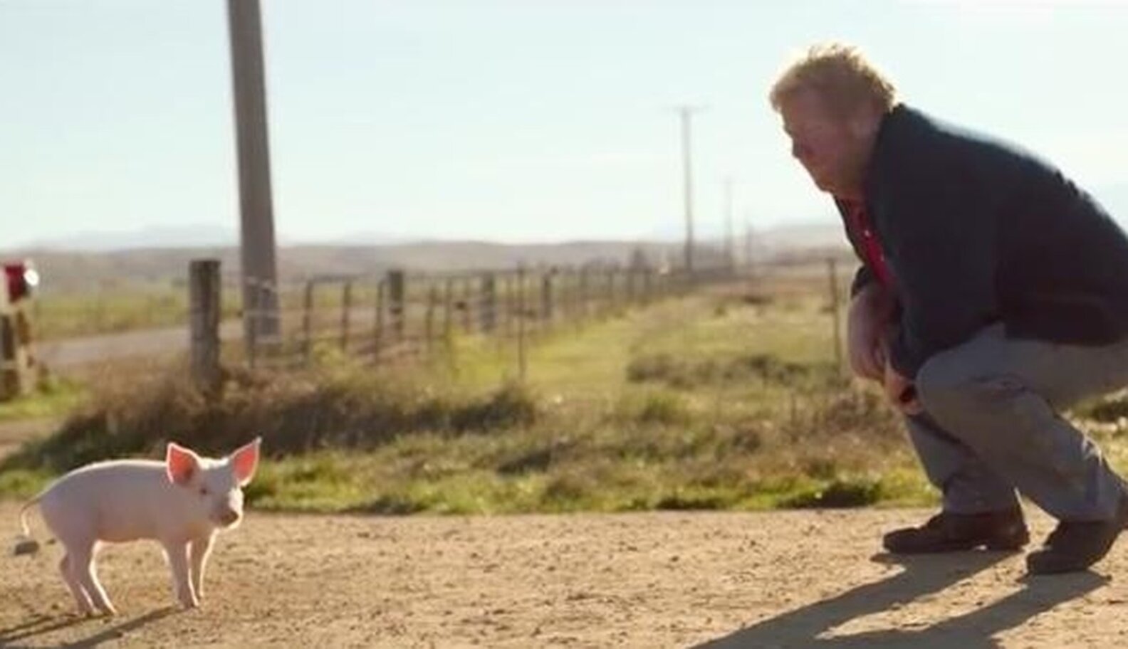 Story Of A Man And His Pig Will Bring You To Tears - The Dodo