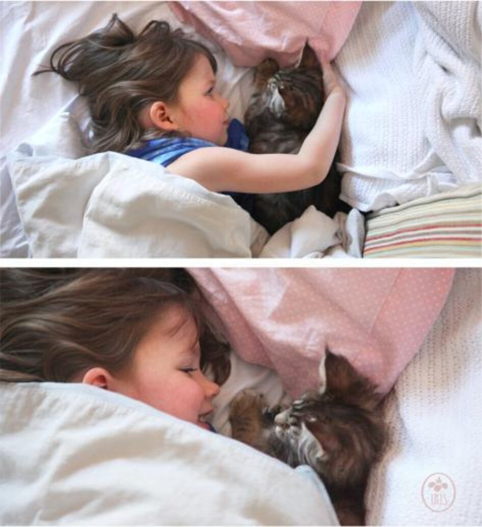 Little Girl With Autism Takes Comfort In Her Best Friend, A Cat - The Dodo
