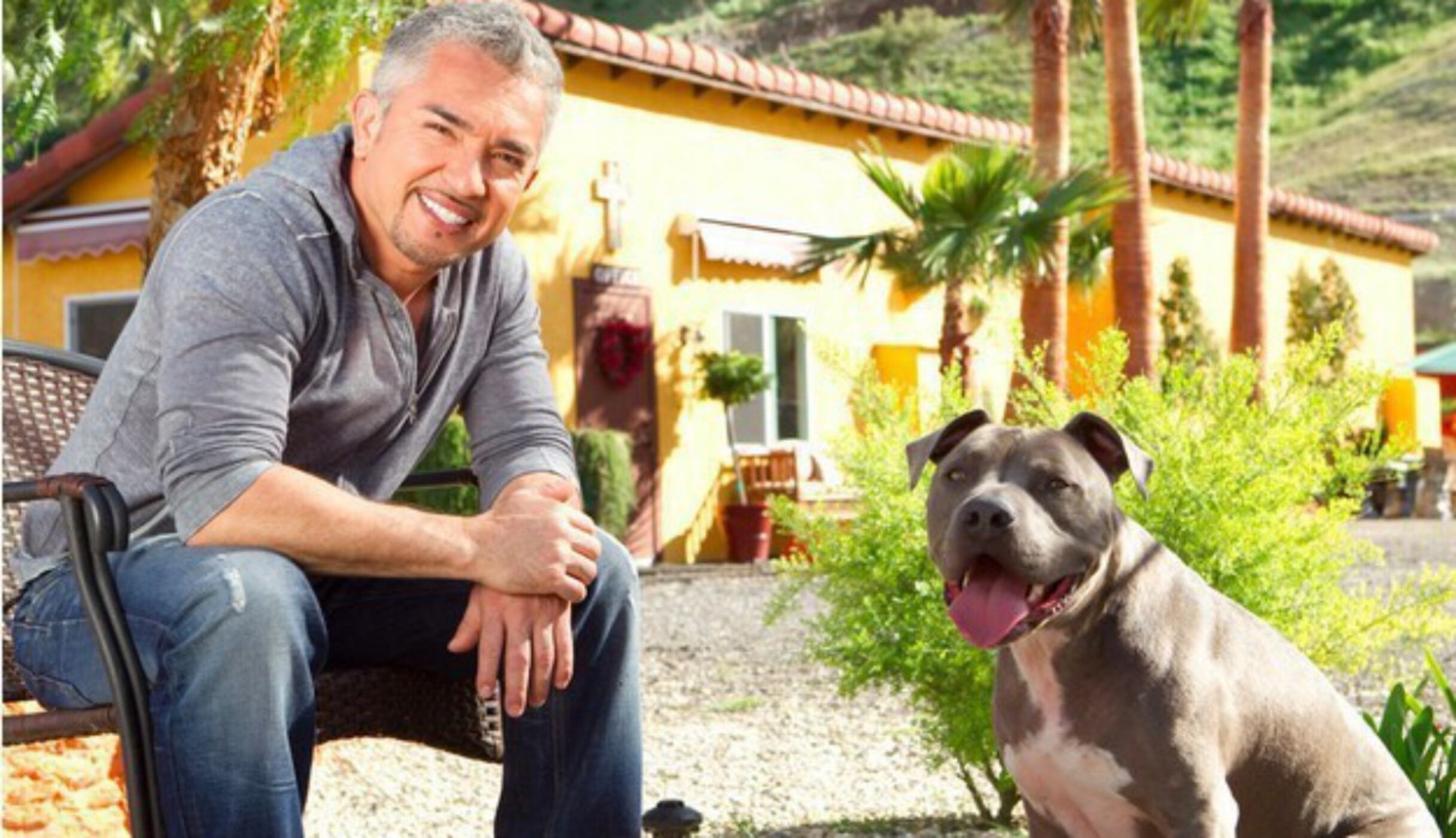 Junior Isn’t Just My Dog -- He's A True Friend - The Dodo