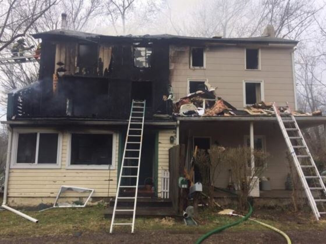 Prairie Dog Needs A Helping Hand After His Home Catches On Fire - The Dodo