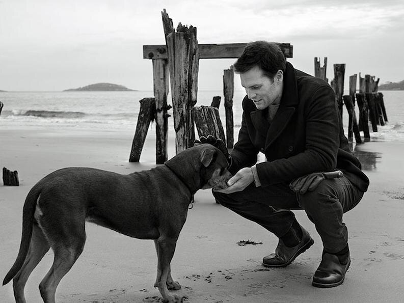Tom Brady Has A Pit Bull Mix Named Lua, And She's The Best - The Dodo