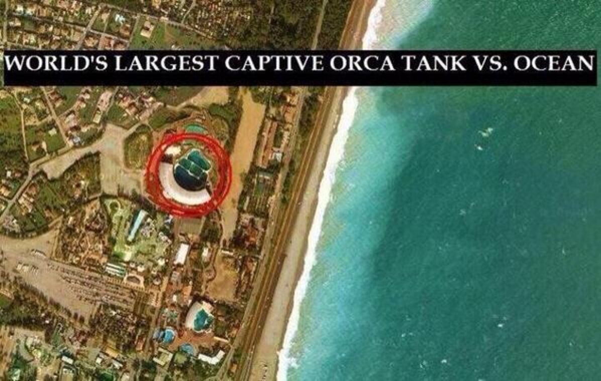 PHOTO: The world's largest captive orca tank. #Blackfish #SeaWorldSucks ...