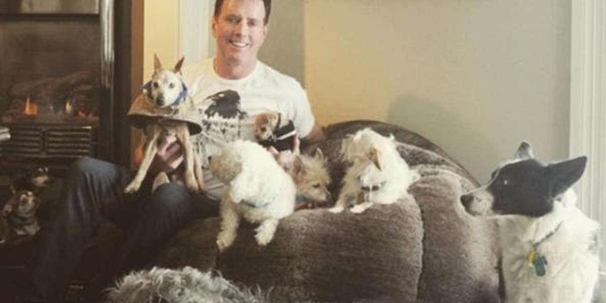 This Guy Just Can't Stop Adopting Senior Dogs And Farm Animals - The Dodo