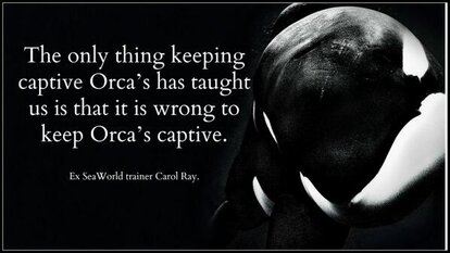 watch #Blackfish , it's a very powerful film http://t.co/3KABbrltpM ...