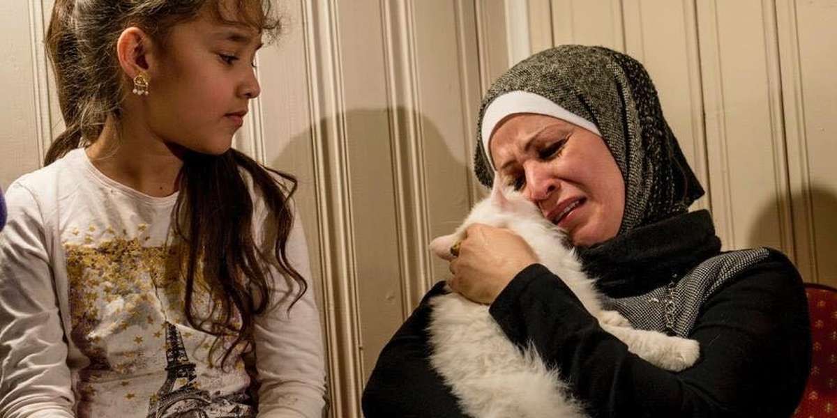 New Photos Show Refugee Cat Loving Life Back With His Family - The Dodo