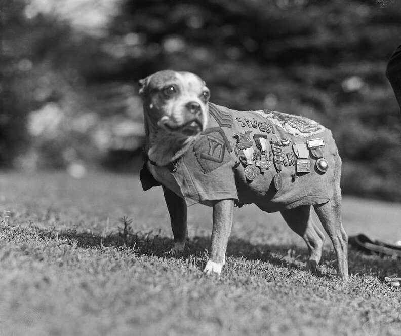 On the Hundredth Anniversary of the Start of World War I, Remembering ...