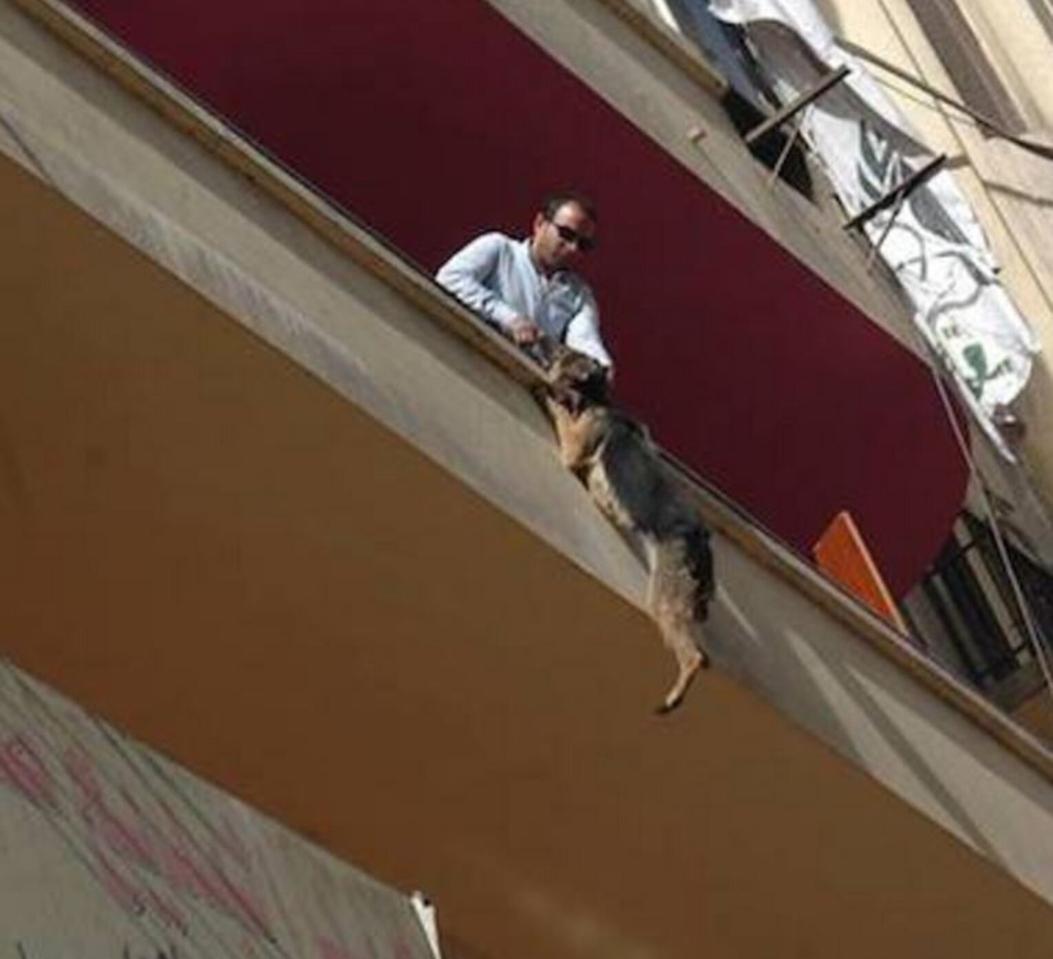 Dog Chained On Balcony Tries To Free Herself ... By Jumping - The Dodo