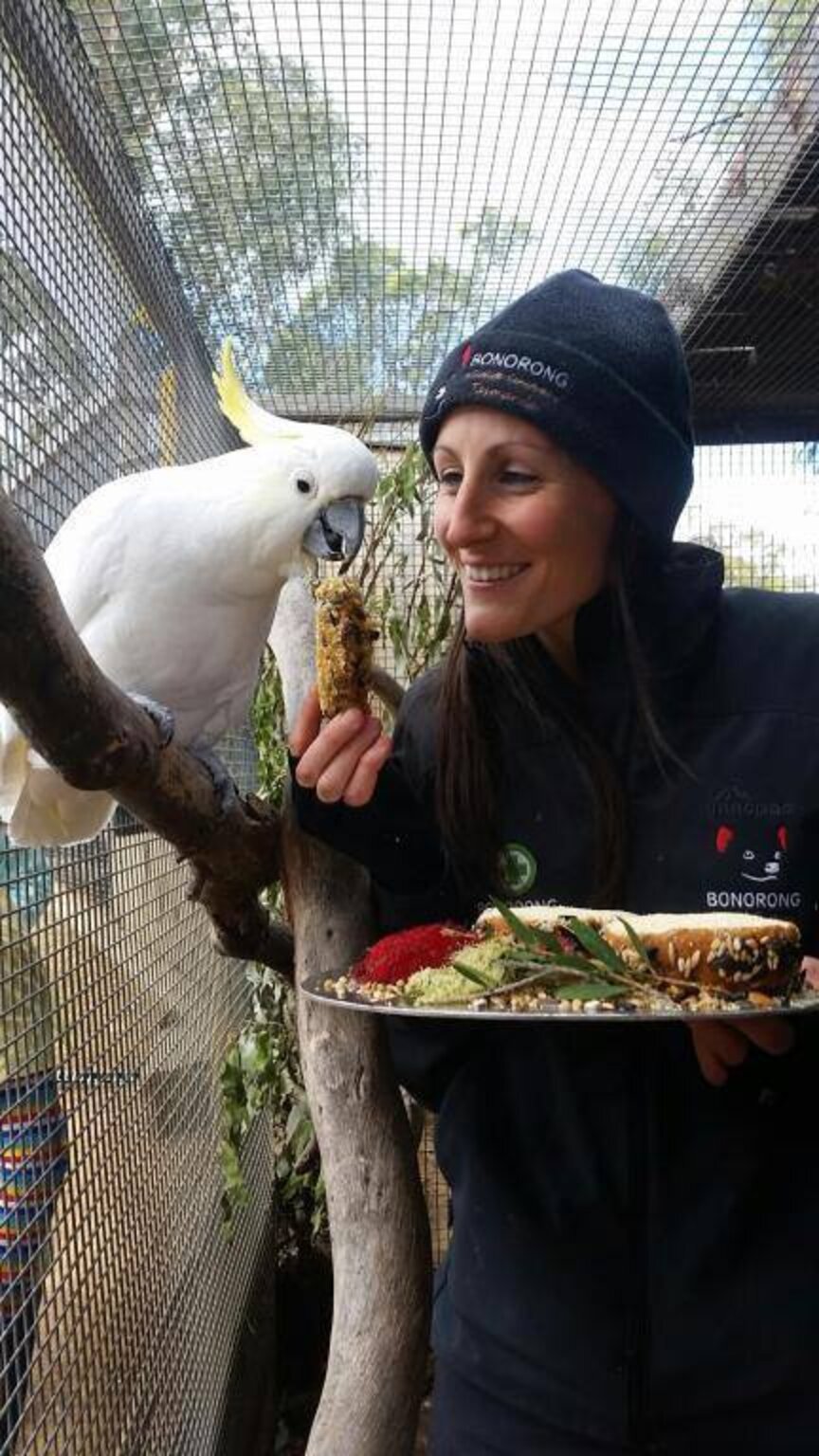 Fred The Rescued Cockatoo Just Celebrated His 100th Birthday - The Dodo