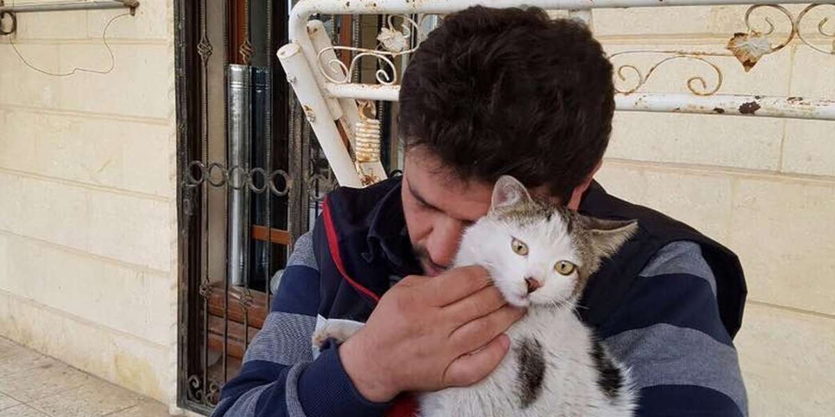 Aleppo Cat Sanctuary Reopens After Being Bombed In War - The Dodo