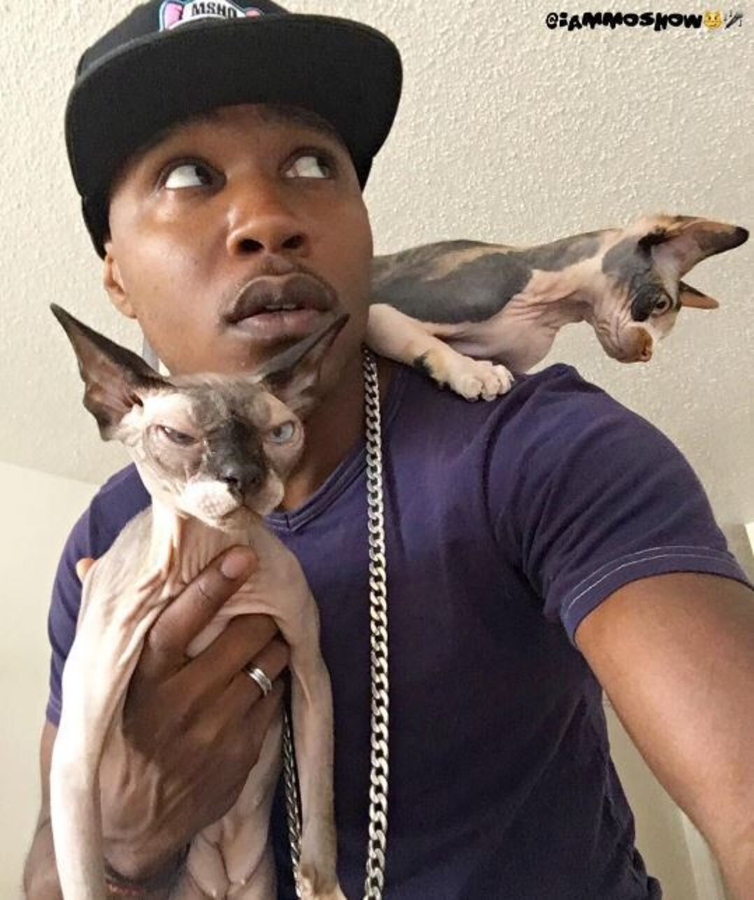 Man Who Swore He Didn’t Like Cats Can’t Live Without Them Now - The Dodo