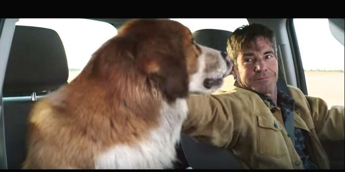 Actors Who Fell In Love With Their Dog Costars - The Dodo