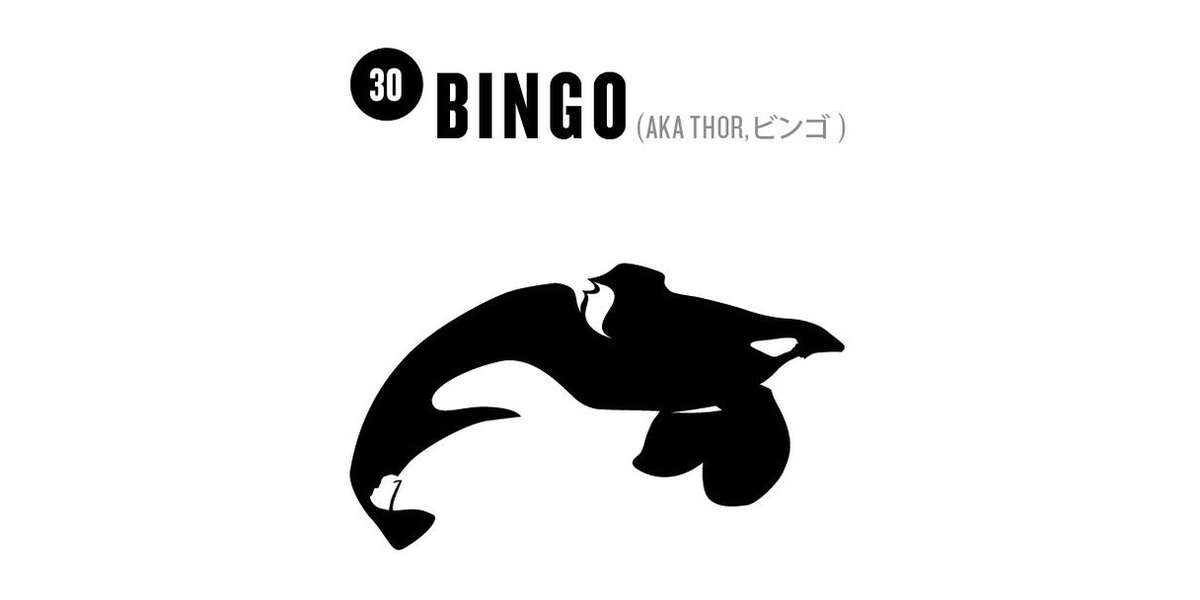 A Week For Every Whale: #30. Bingo - The Dodo