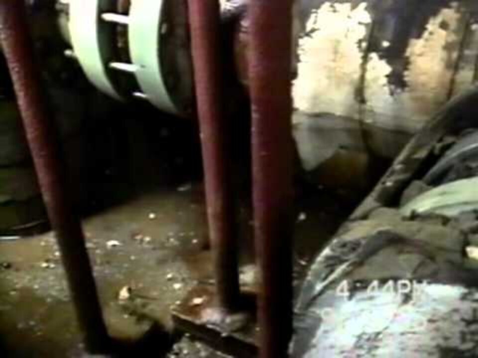 Footage of lolita the orca's disgusting tank - The Dodo