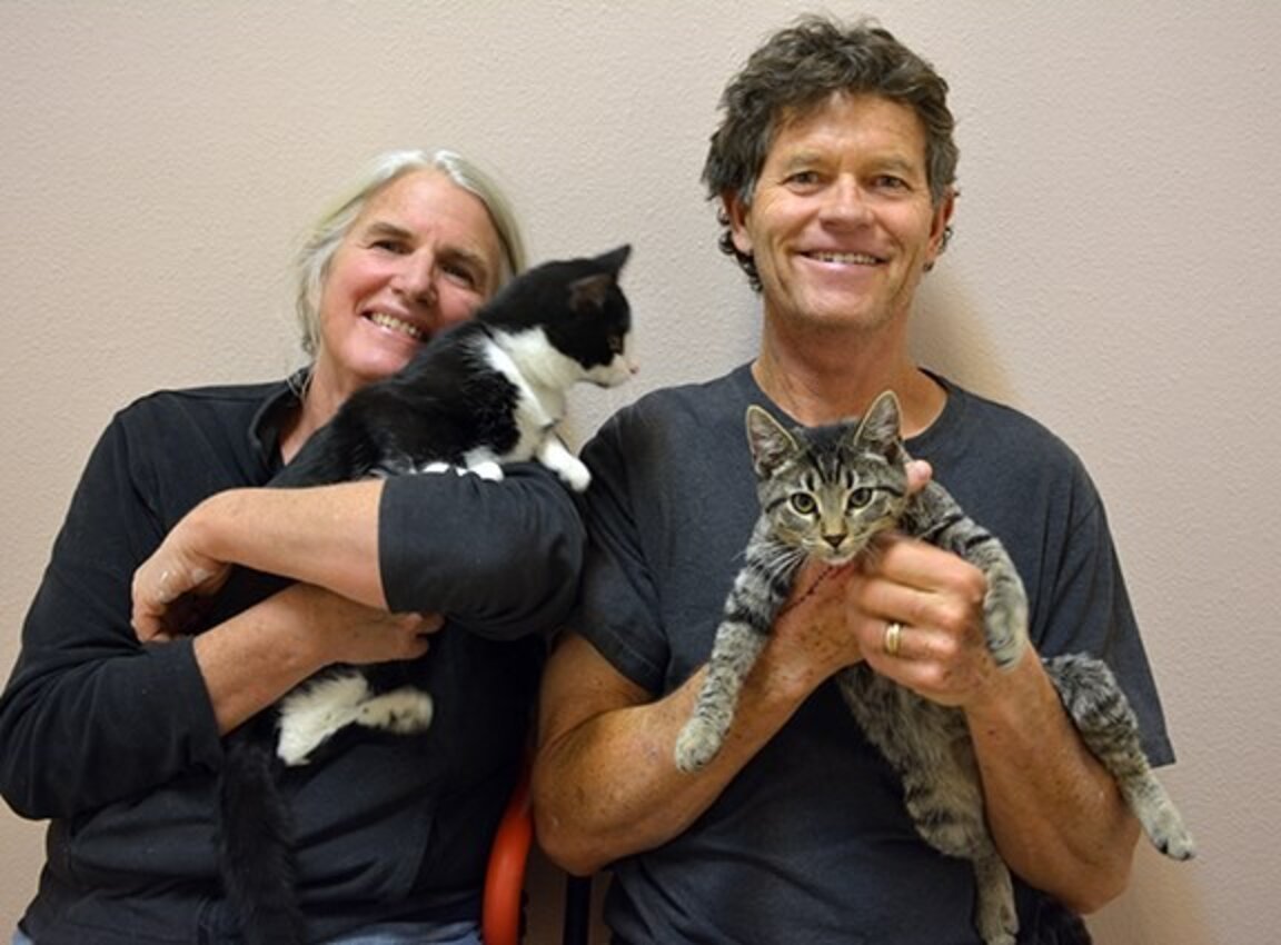 It's The Perfect Time To Rescue A Shelter Pet - The Dodo