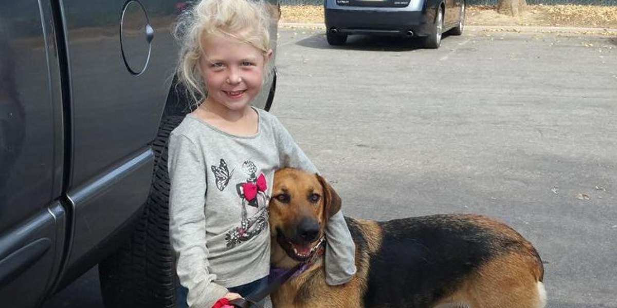 Little Girl Saves Dog Who Refused To Be Rescued - The Dodo