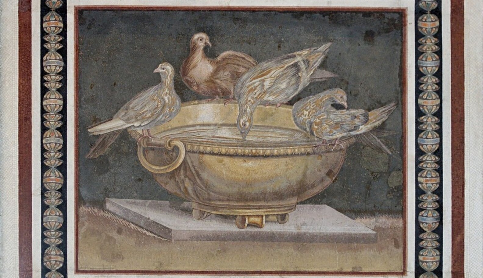 21 Incredible Things You Never Knew About Pigeons - The Dodo