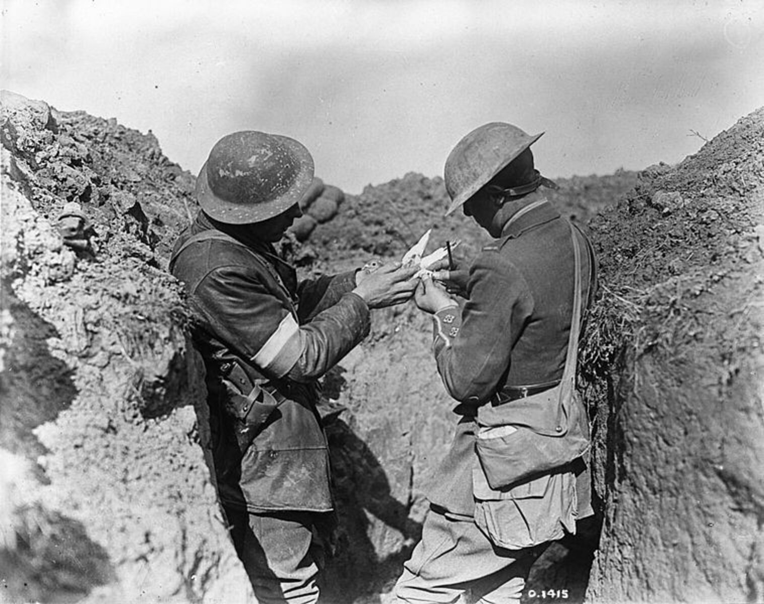 21 Incredible Things You Never Knew About Pigeons - The Dodo